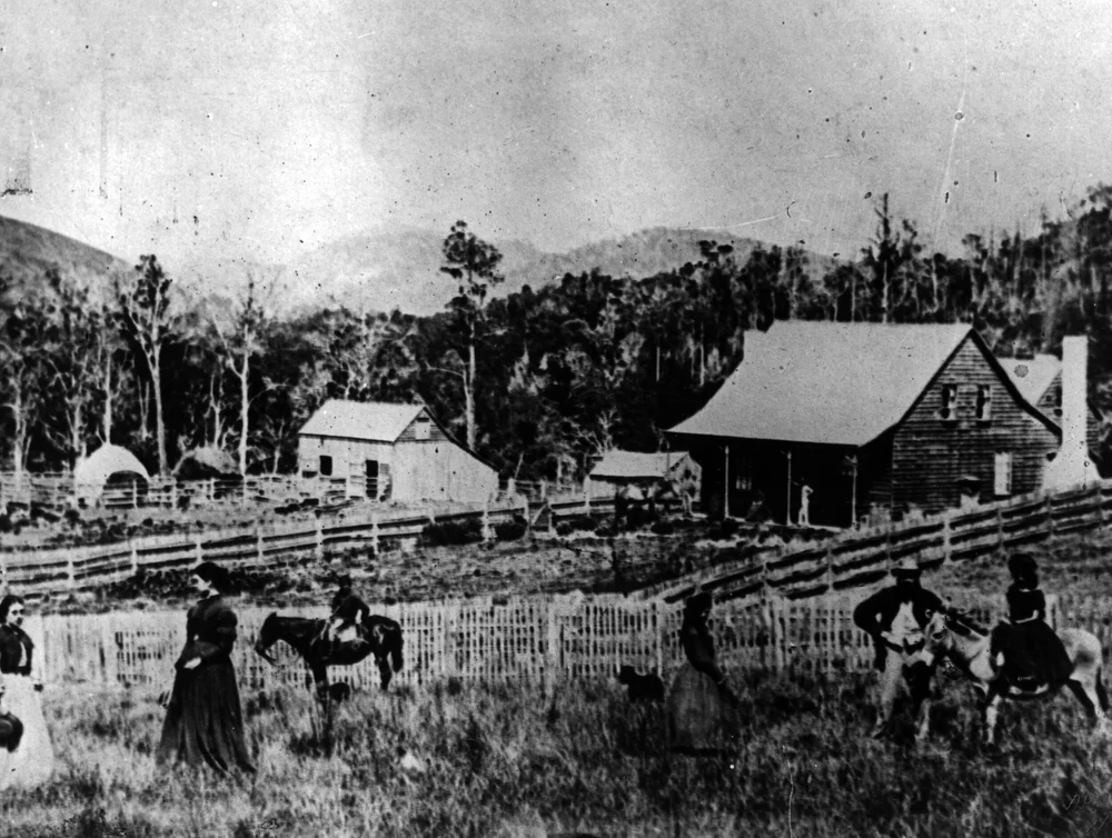 A lasting legacy for a family dedicated to their community — Nikau ...