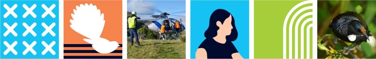Nikau Foundation's story — Nikau Foundation