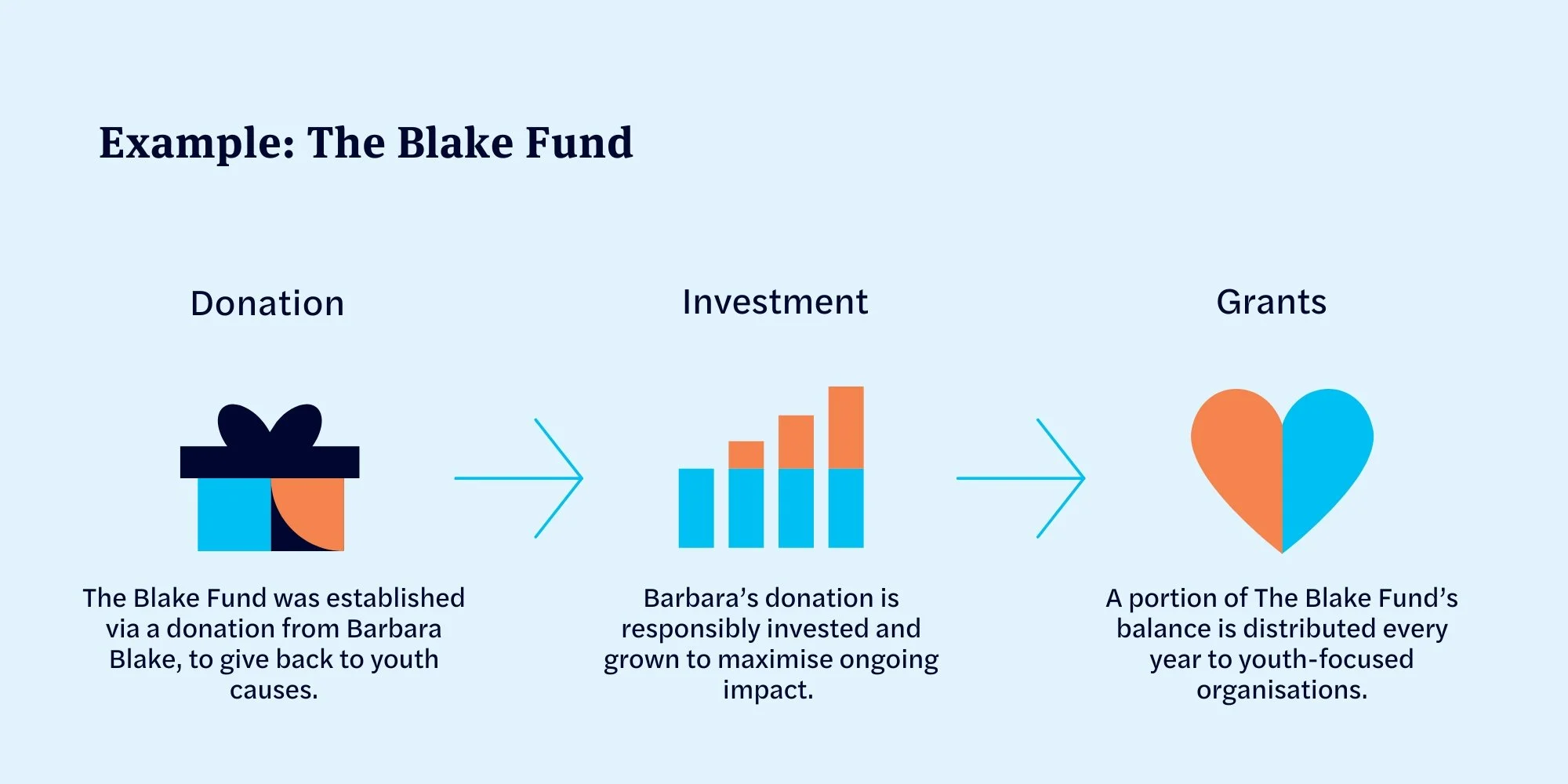 How we work - funding — Nikau Foundation
