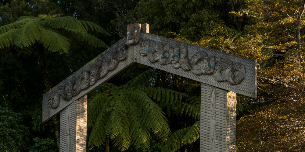 A fund for the future of native plant conservation at Ōtari-Wilton’s ...