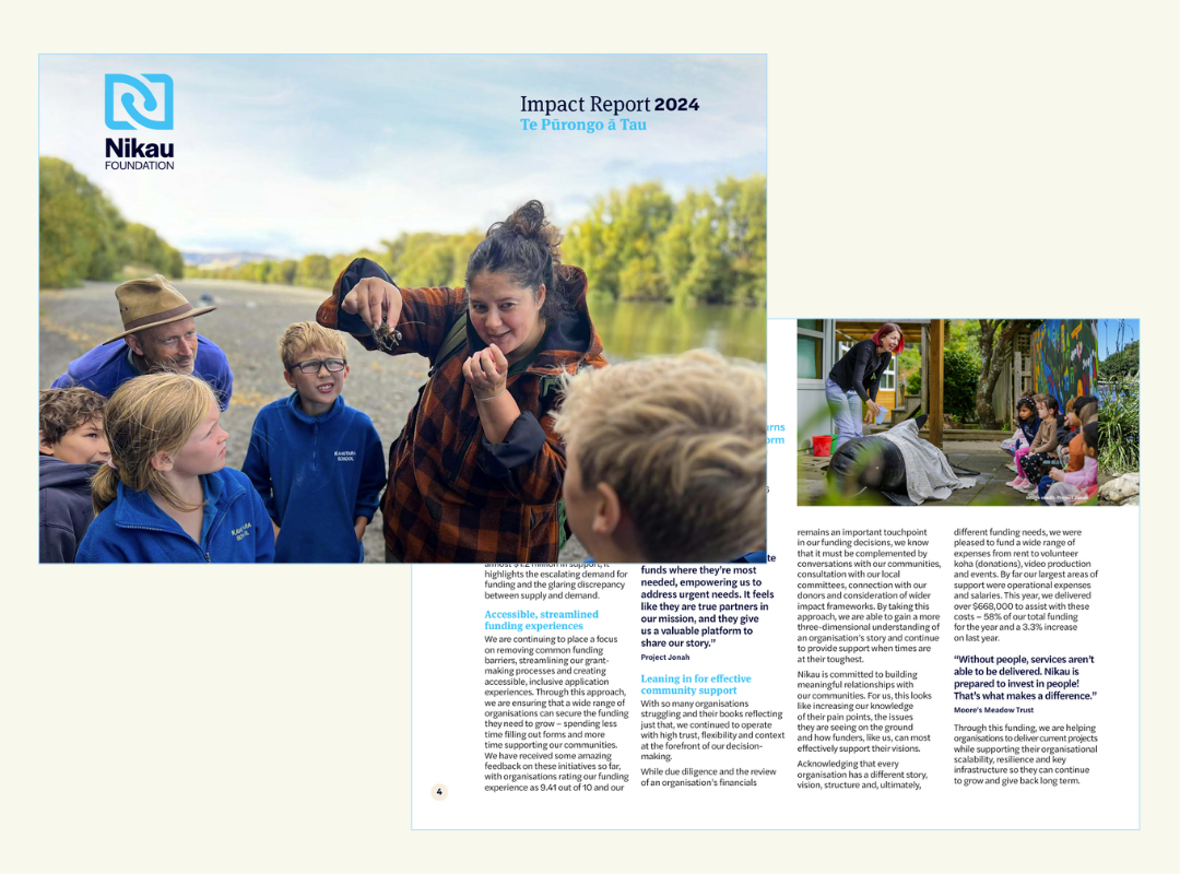 2024 funding wrap-up — Nikau Foundation