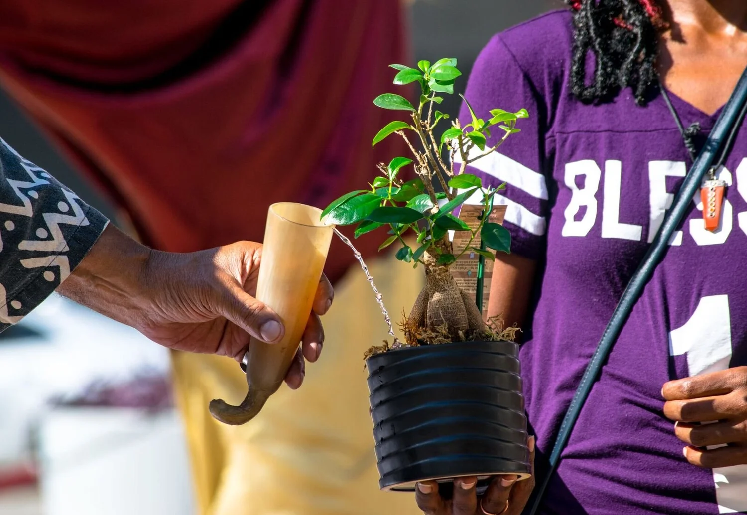 INTERNATIONAL EYE LA