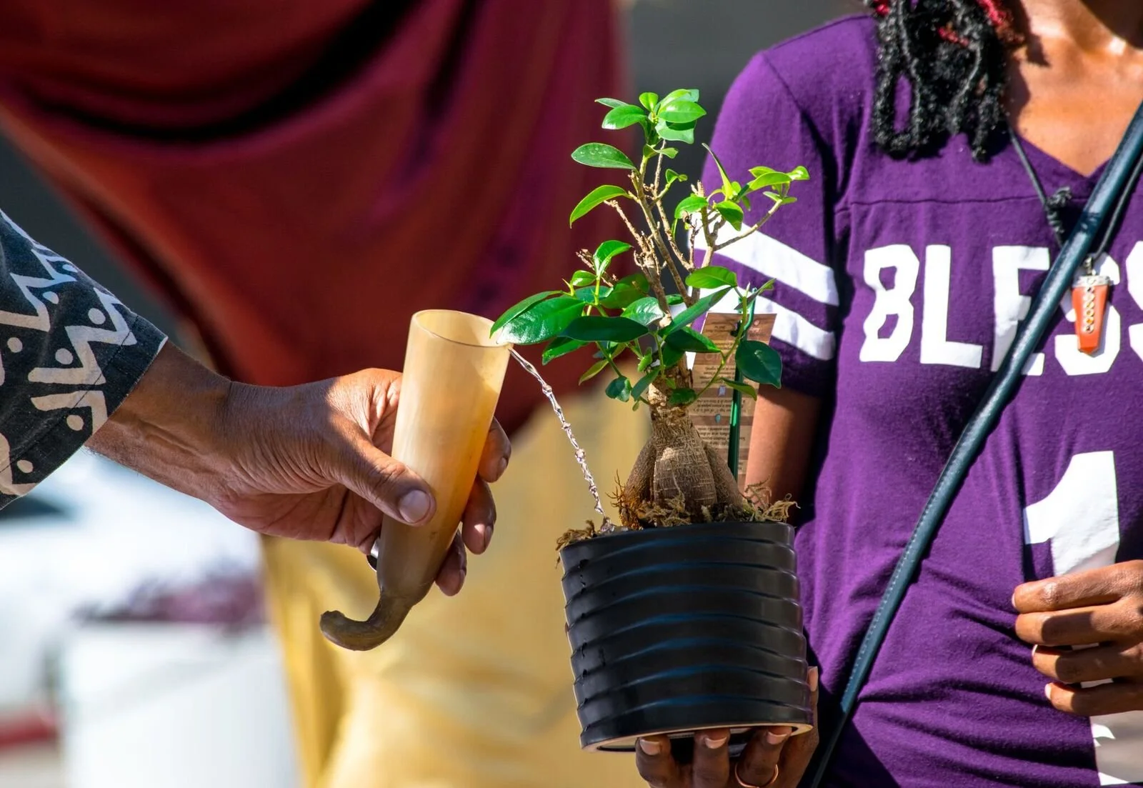 INTERNATIONAL EYE LA