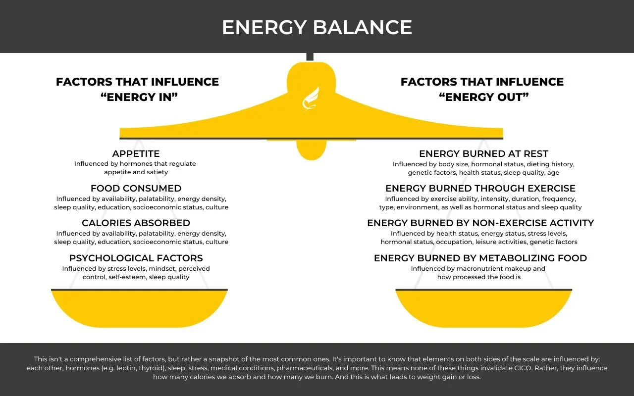 Fortius - Personal Trainer Dubai Blog: Fitness & Wellness Tips