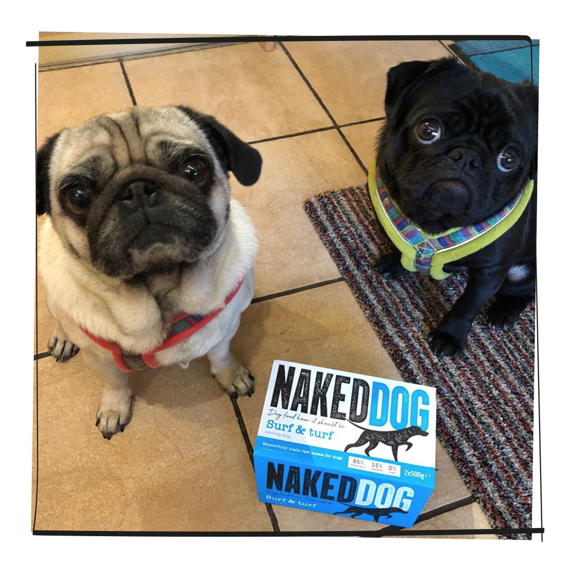 Naked Dog | Dog food how it should be