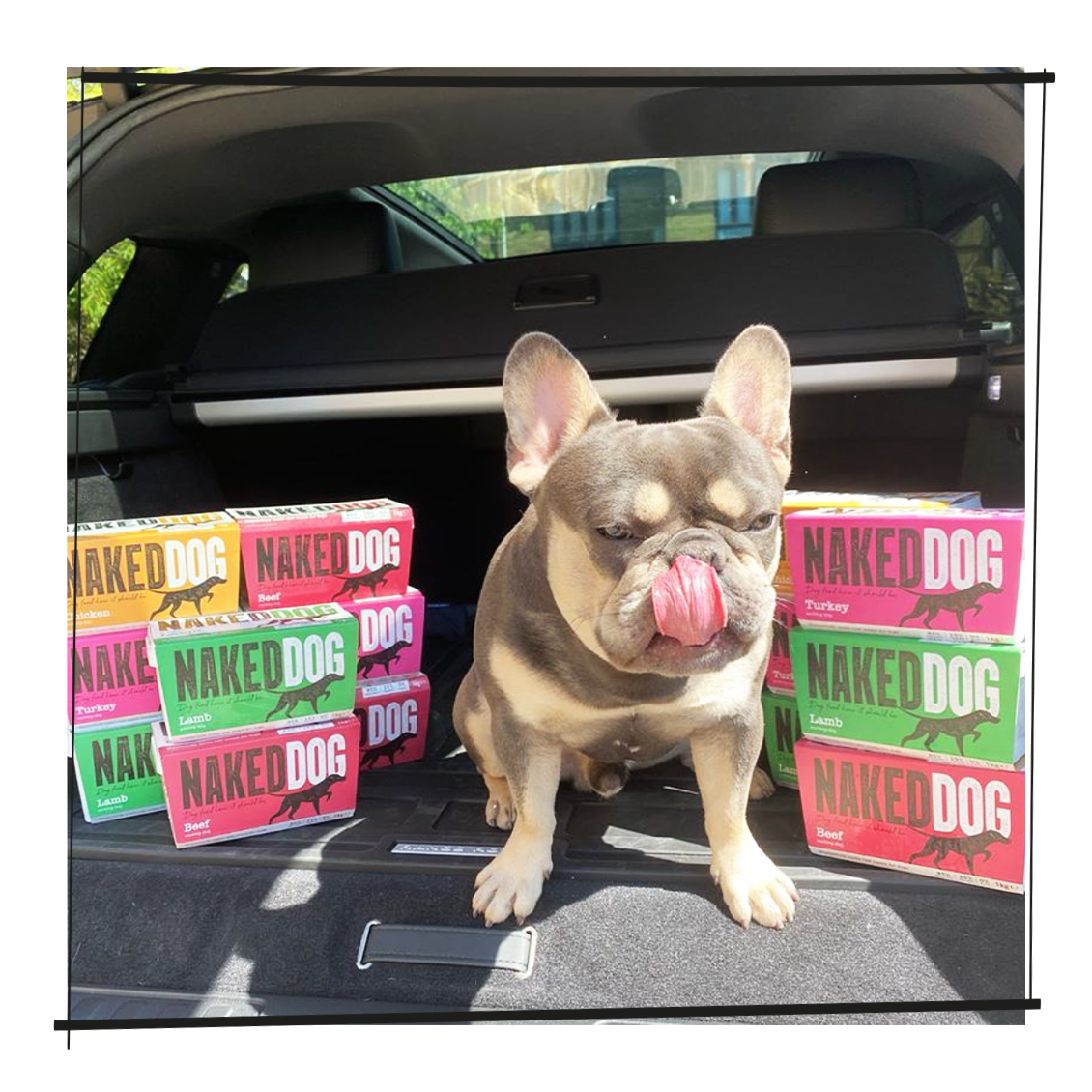 Naked Dog | Dog food how it should be