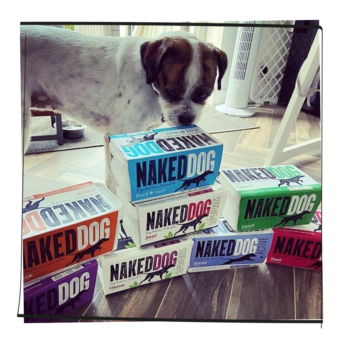 Naked Dog | Dog food how it should be