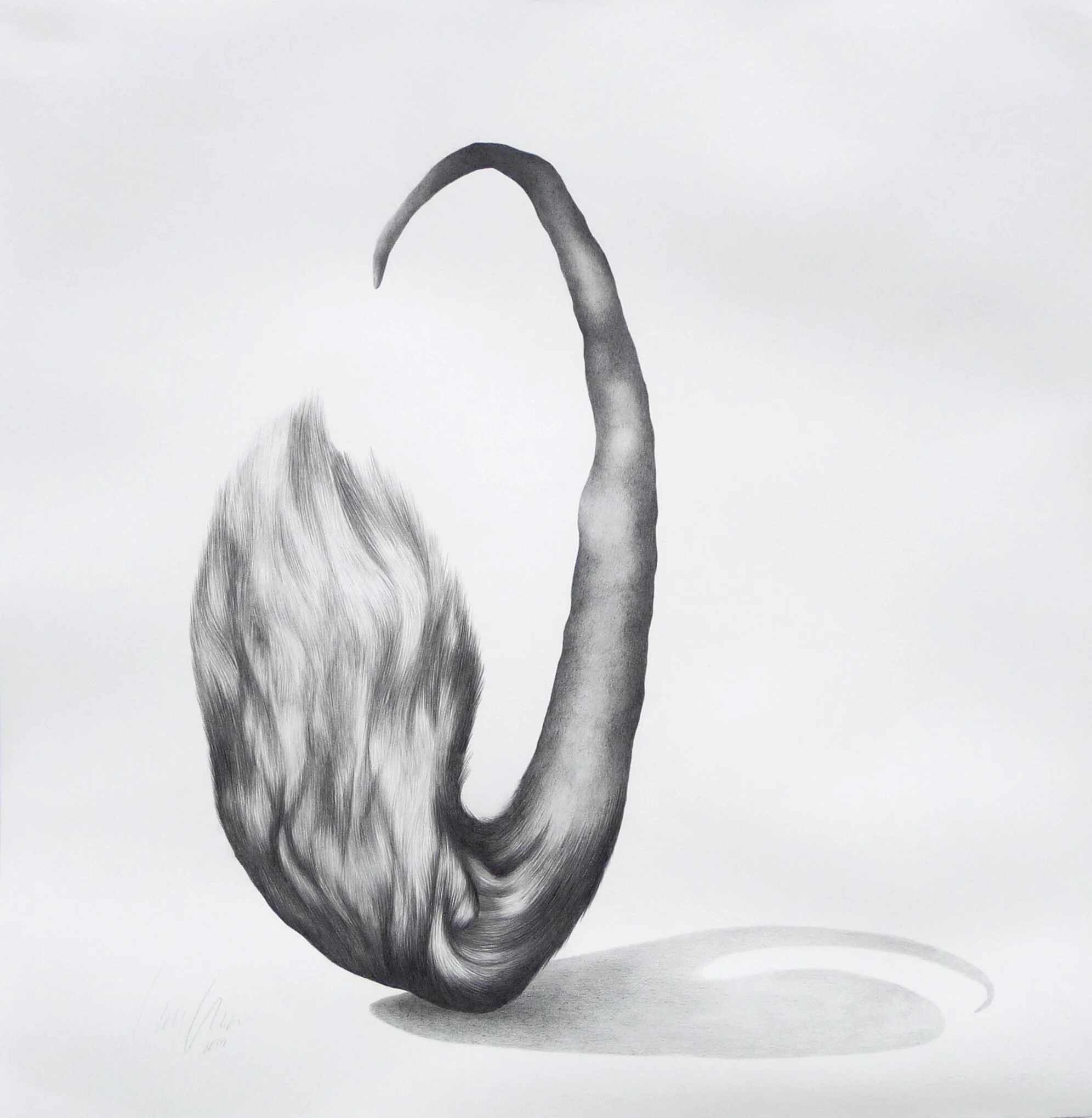 jordskott • pencil drawings — INGRID ELSA MARIA OGENSTEDT