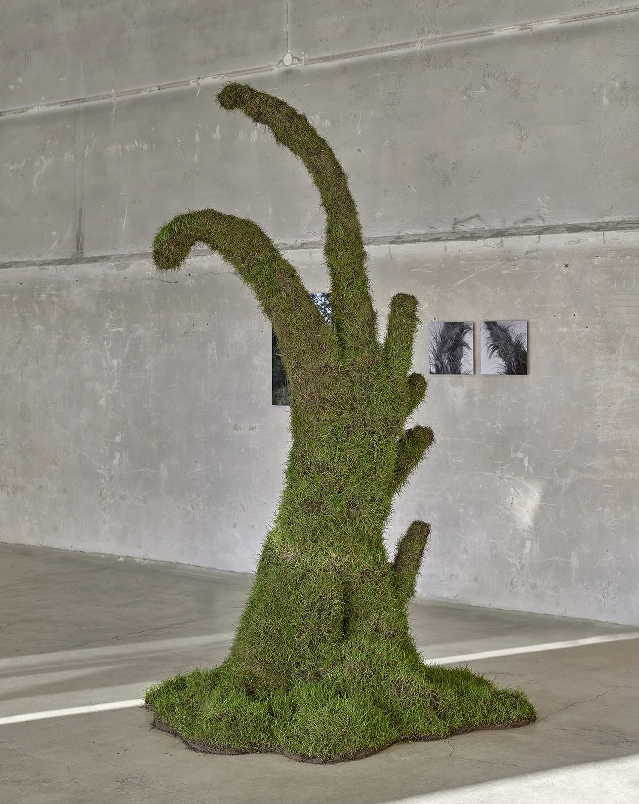 sämling — INGRID ELSA MARIA OGENSTEDT