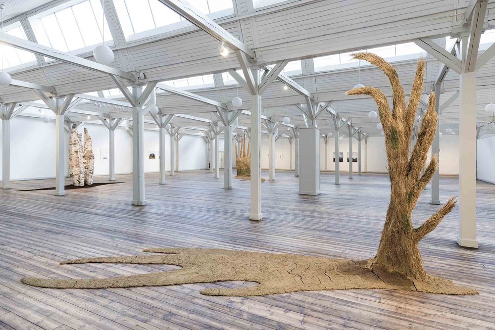 reva — INGRID ELSA MARIA OGENSTEDT