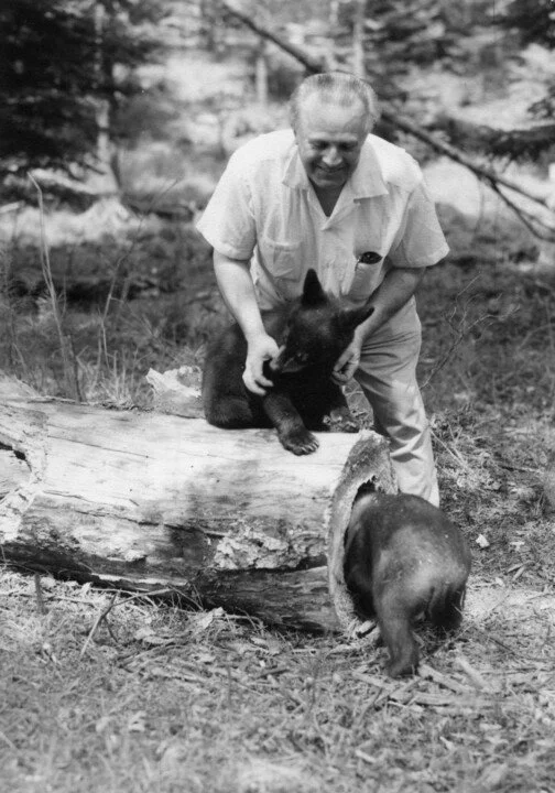 "Voice of the Wilderness" documentary feature about children's author ...