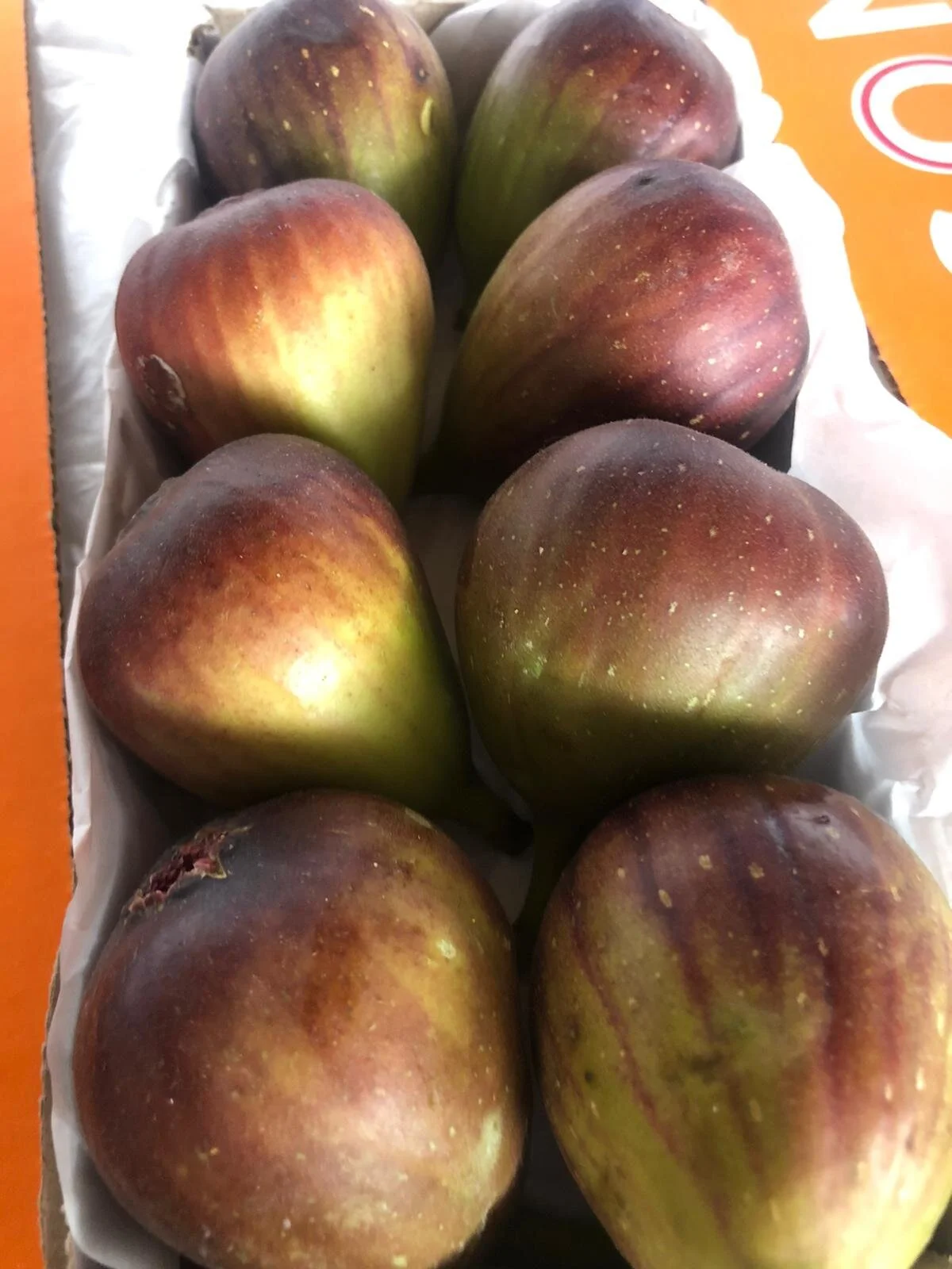 Fruit, Veg and Salad — Freestons Direct