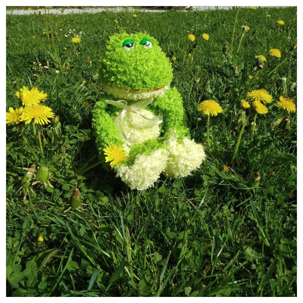 Žabe — Igriva igralnica