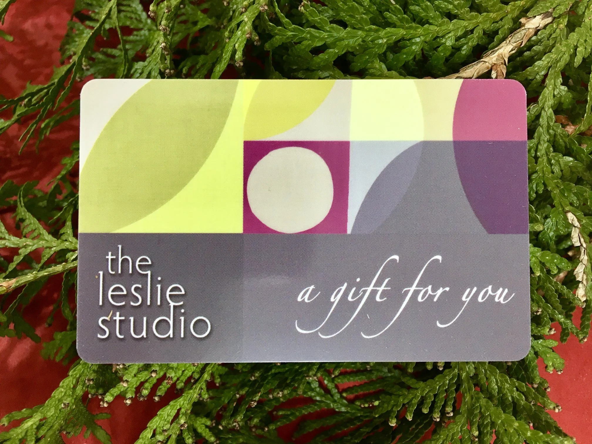 Leslie Studio skincare — The Leslie Studio
