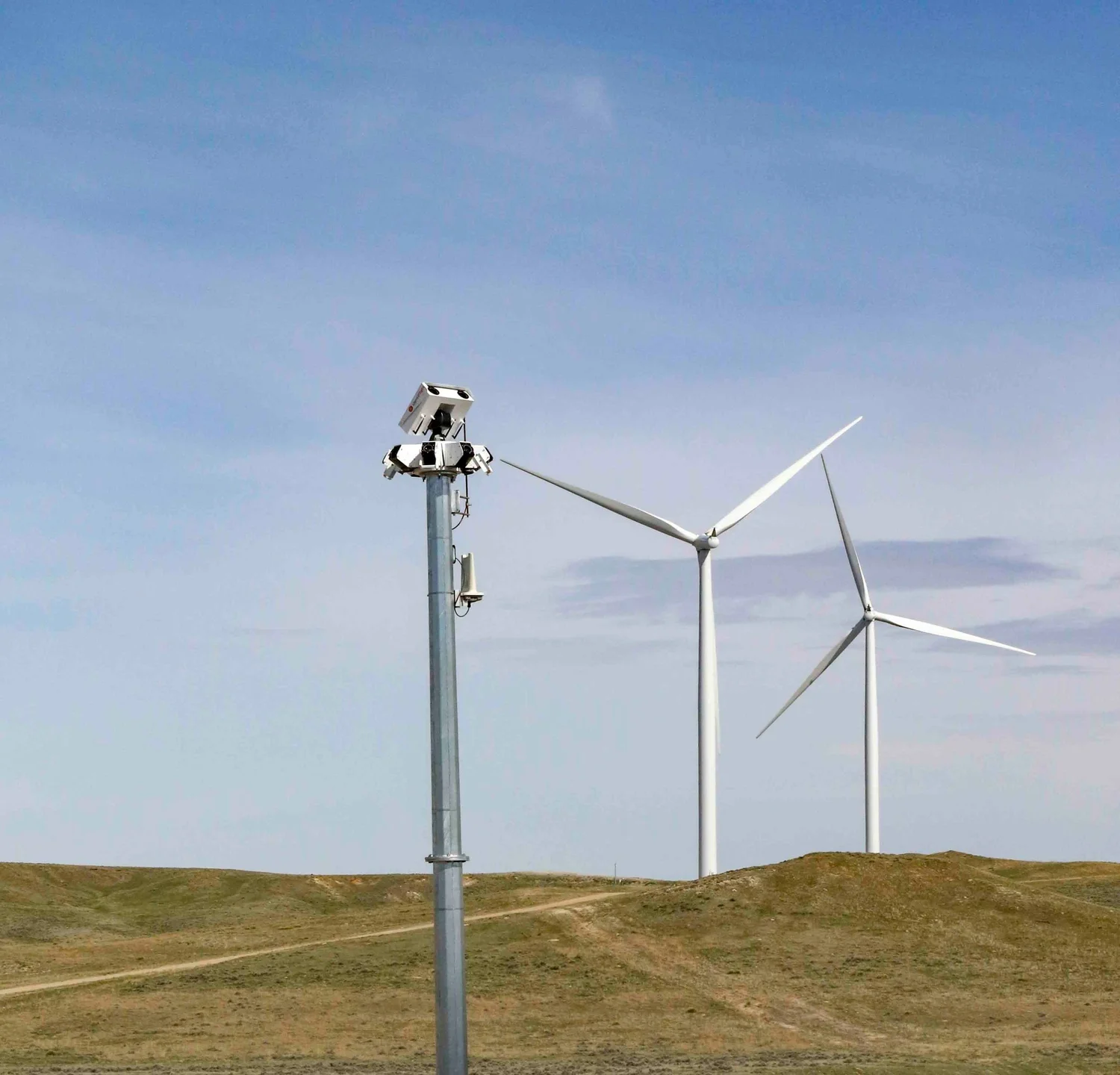 About Us — IdentiFlight - Bird Detection System