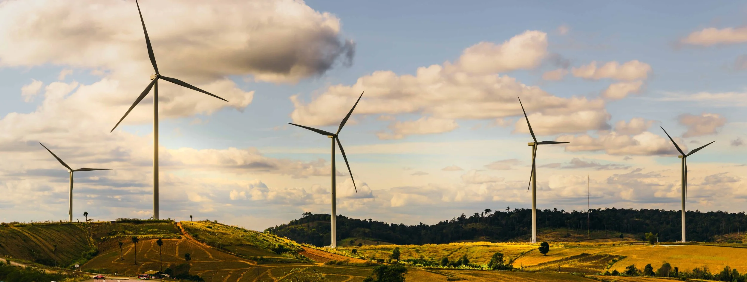 IdentiFlight - Bird Detection System