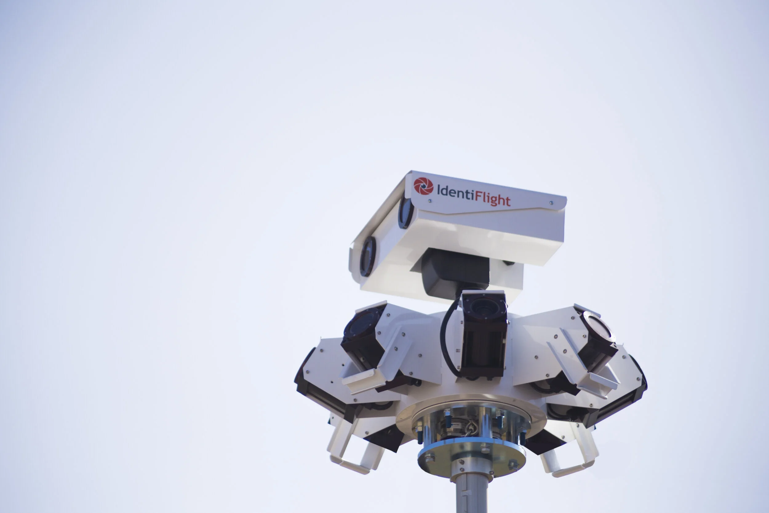 IdentiFlight - Bird Detection System