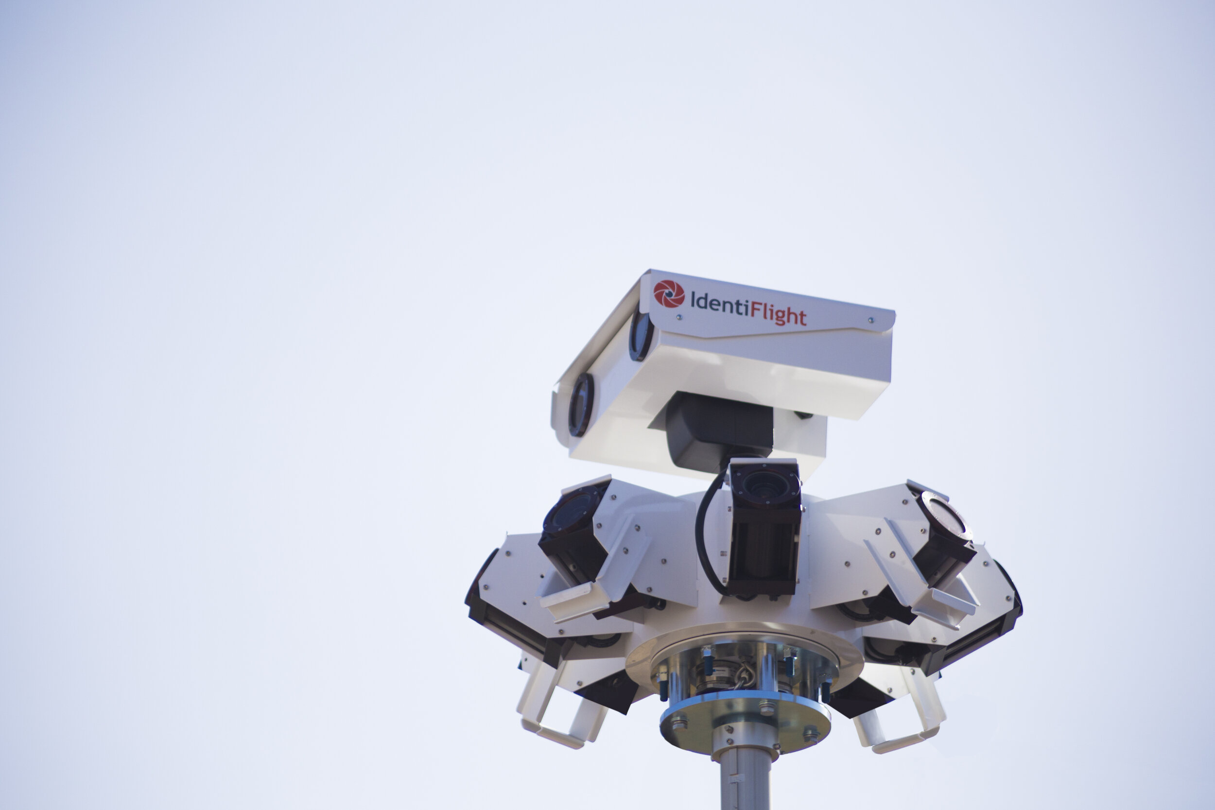 IdentiFlight Bird Detection System