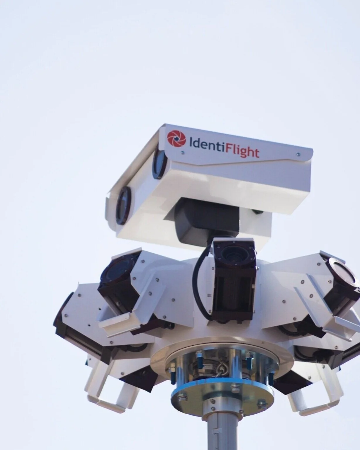 How It Works — IdentiFlight - Bird Detection System