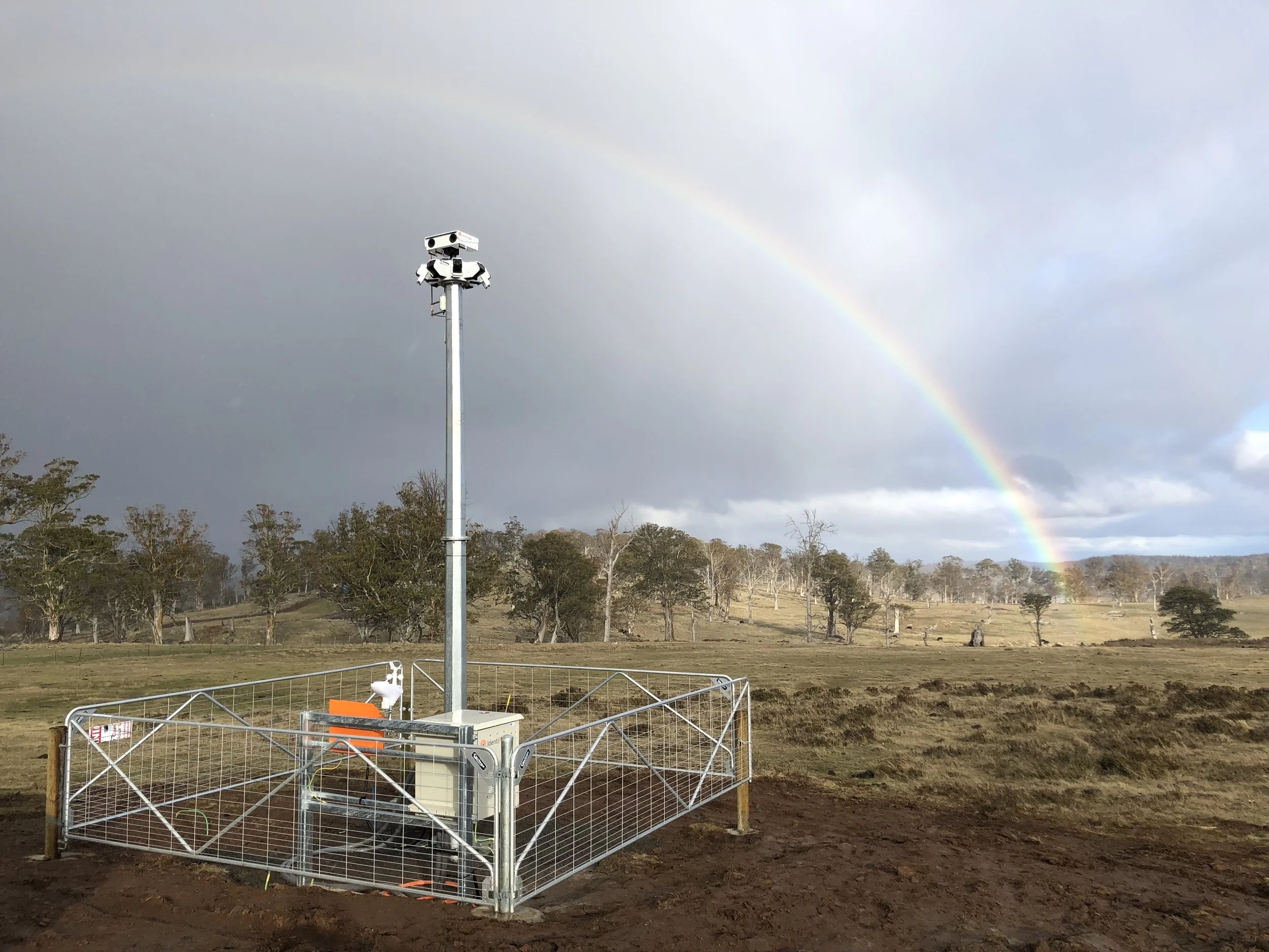 About Us — IdentiFlight - Bird Detection System