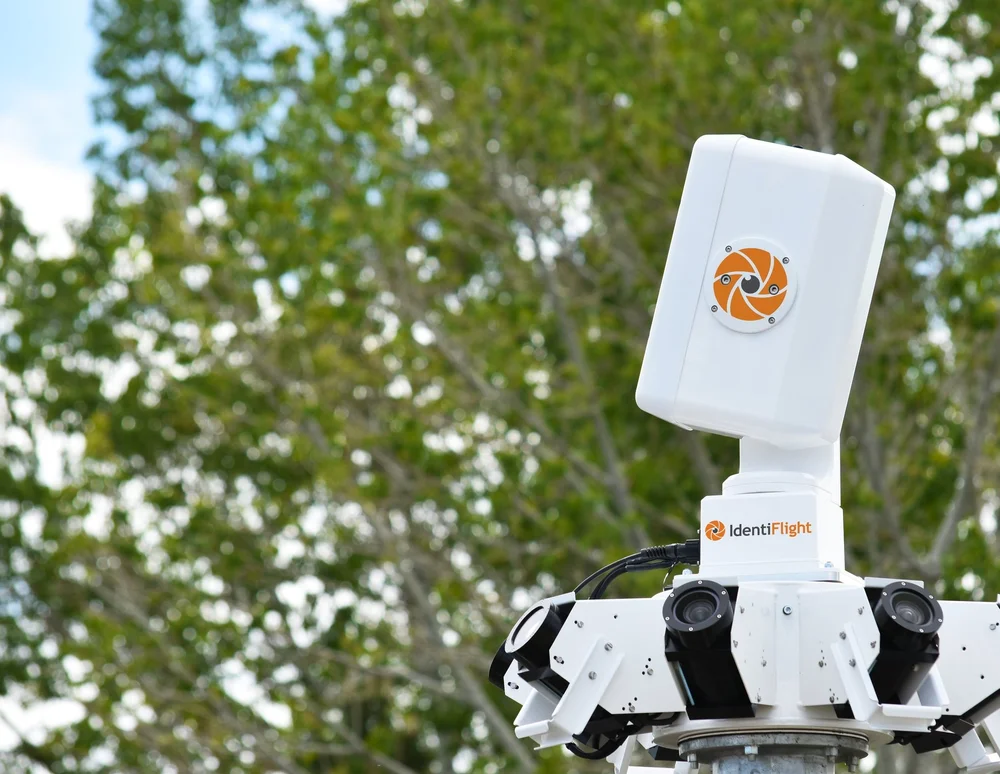 Contact — IdentiFlight - Bird Detection System