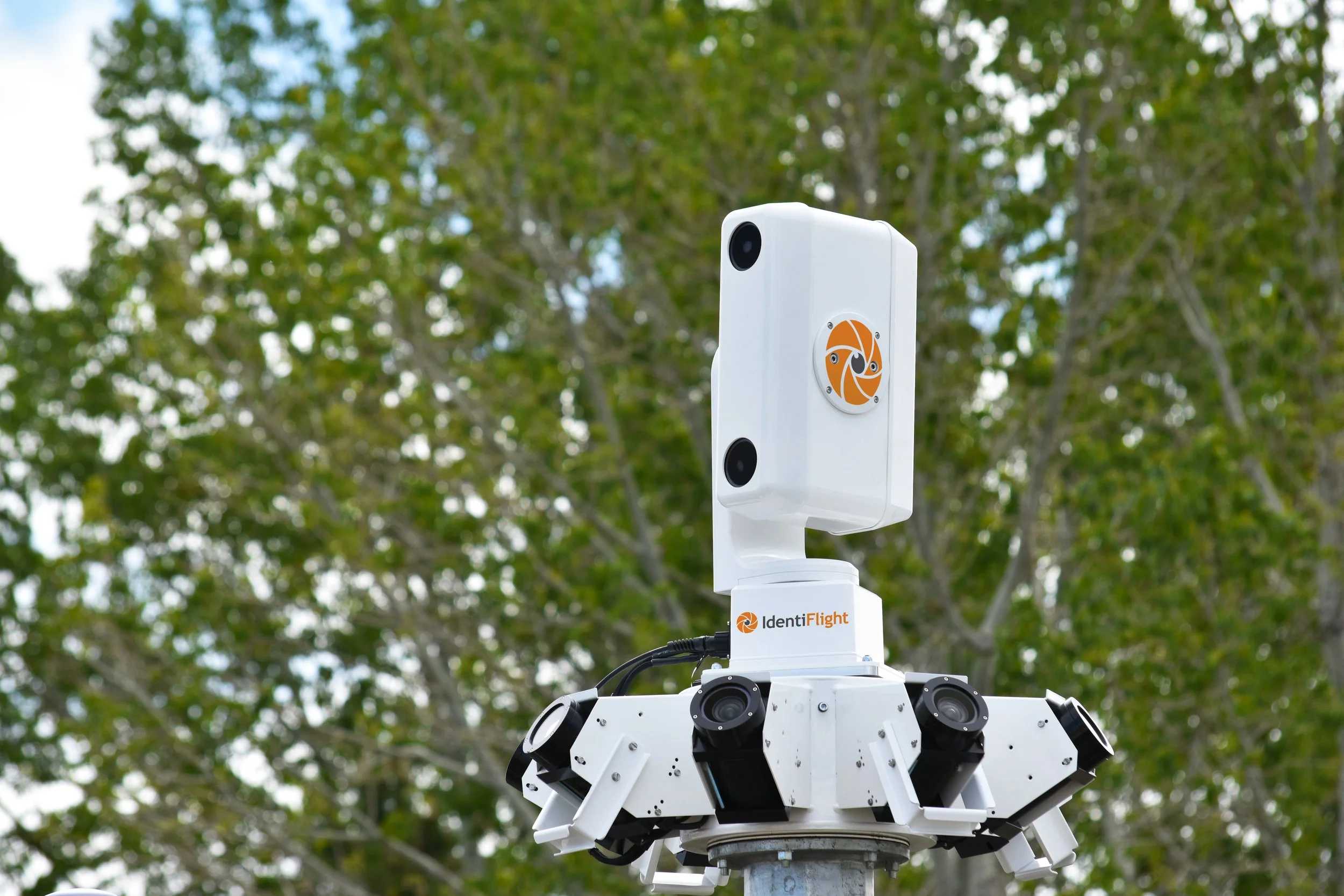 IdentiFlight - Bird Detection System