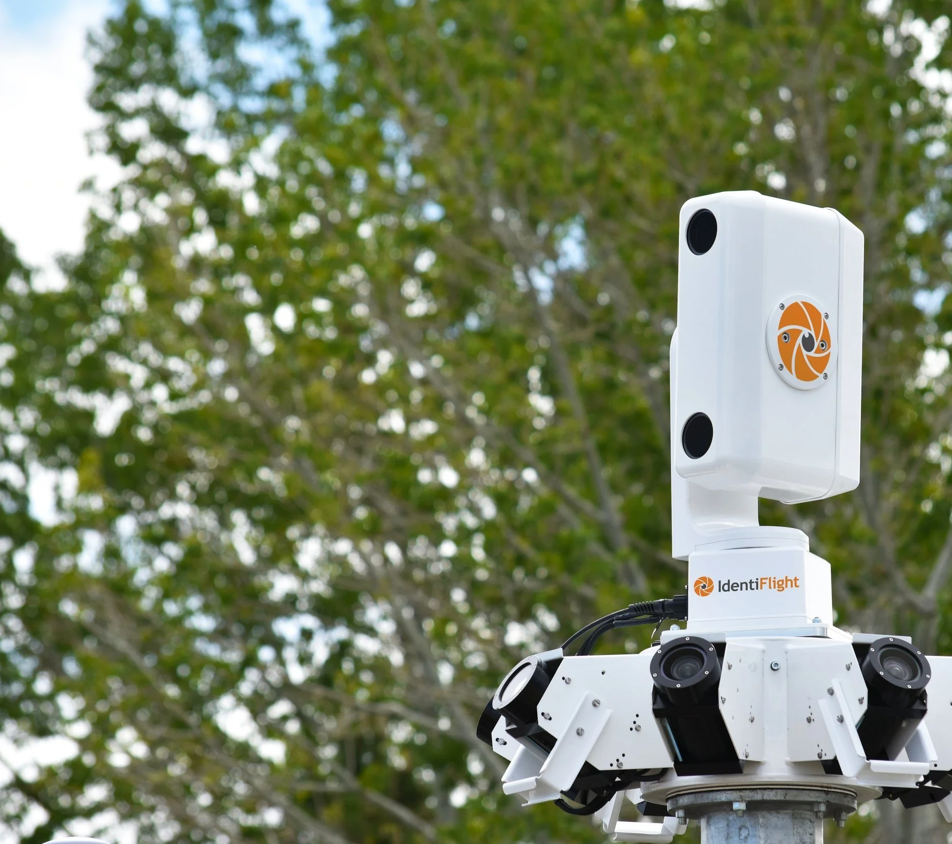 How It Works — IdentiFlight - Bird Detection System