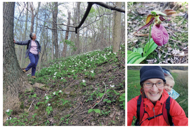 Minnesota Forestry Association