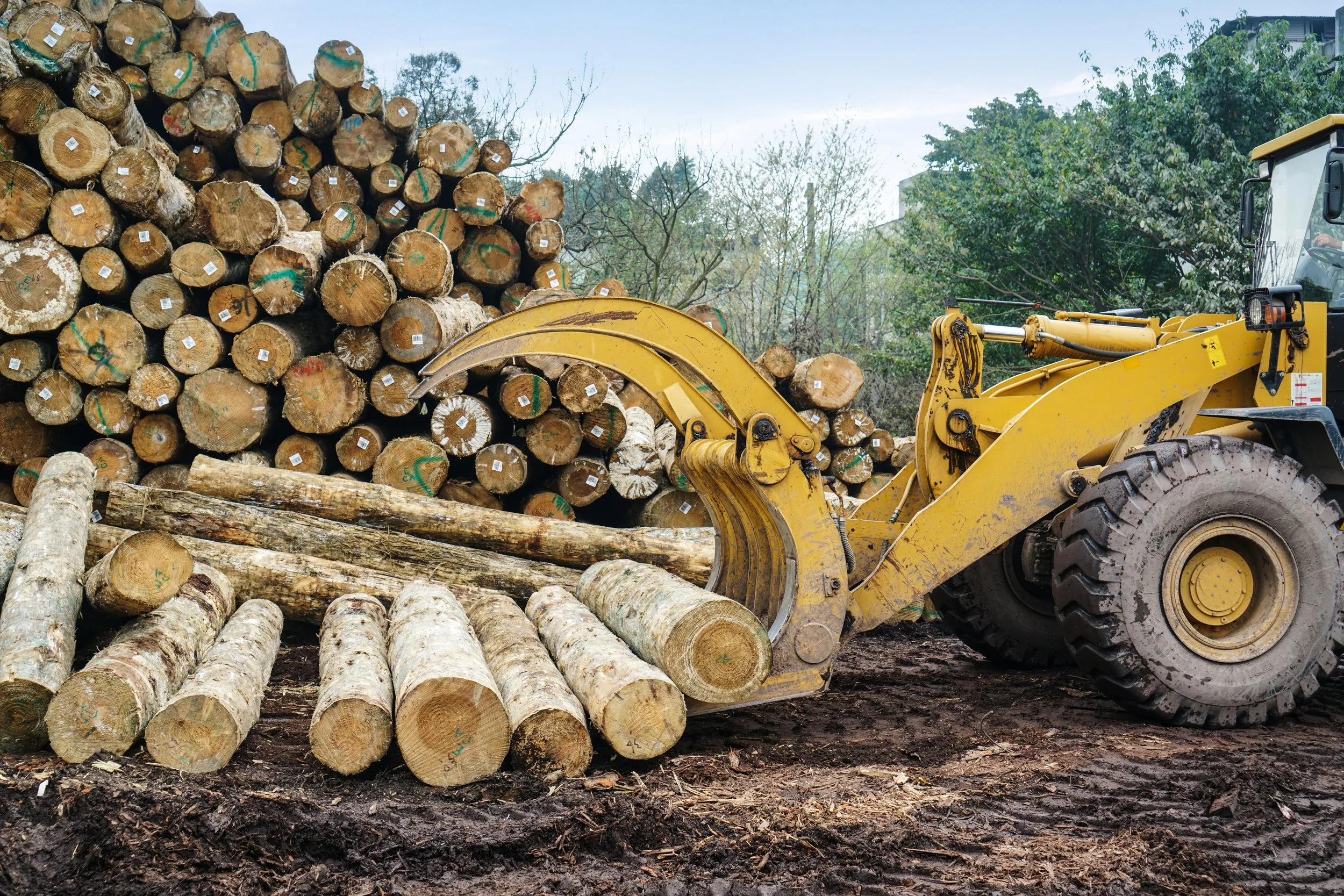 Minnesota Forestry Association