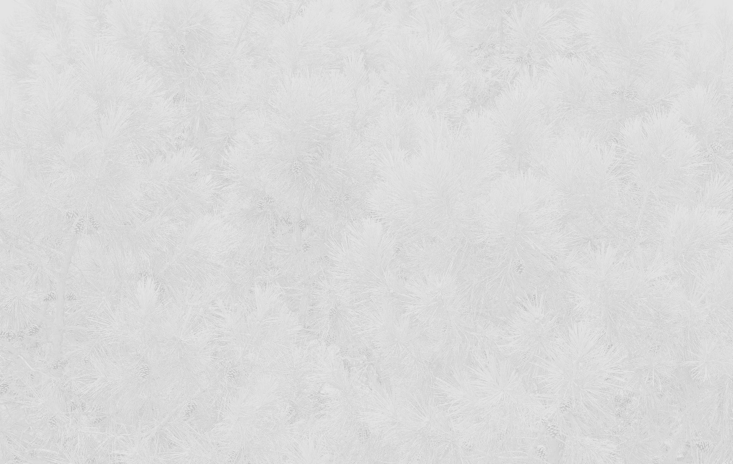 Climate Change — Minnesota Forestry Association