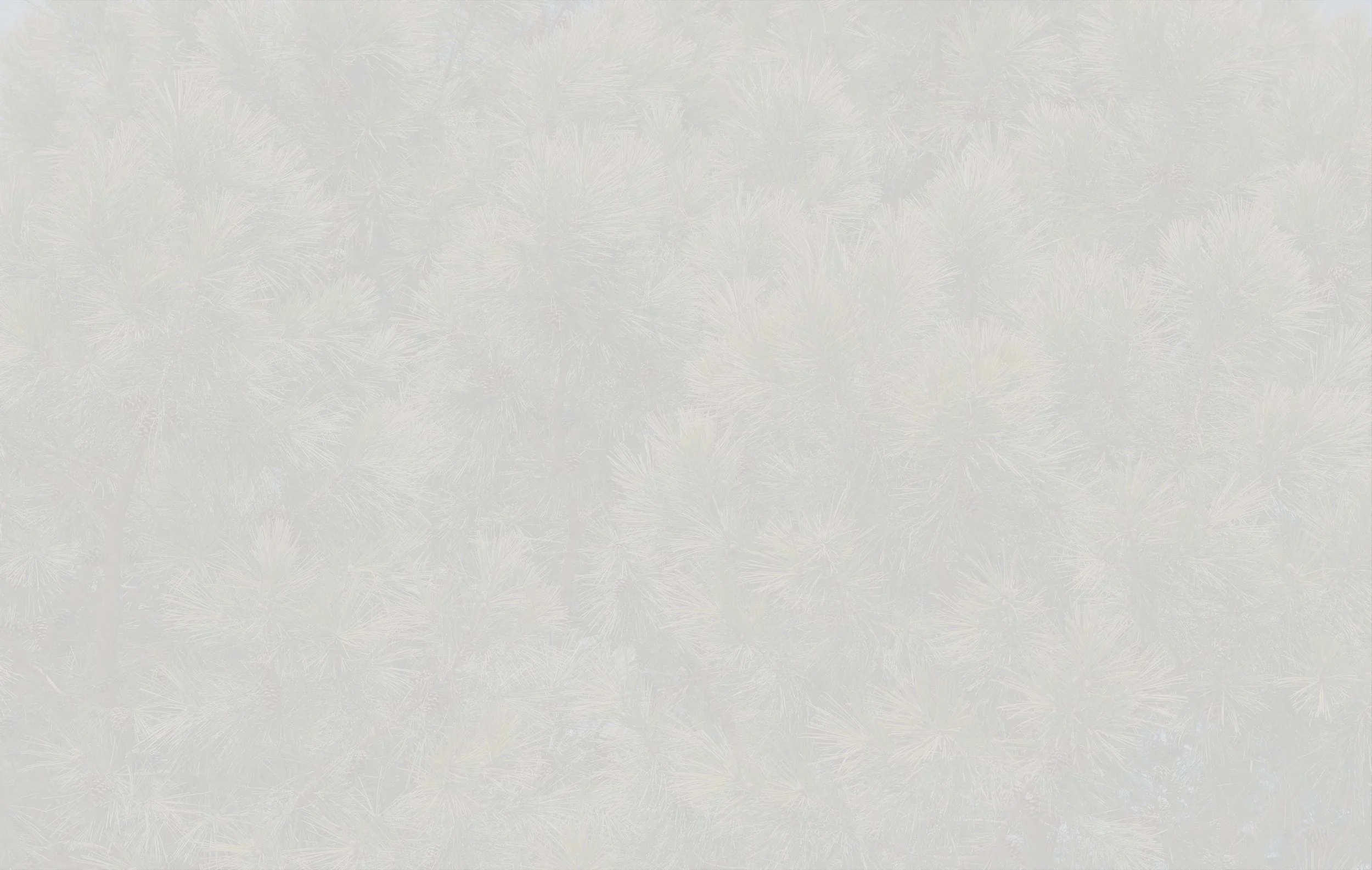 Climate Change — Minnesota Forestry Association