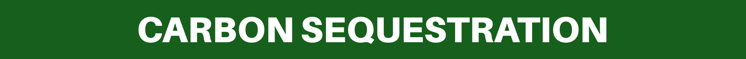 Resource Center — Minnesota Forestry Association