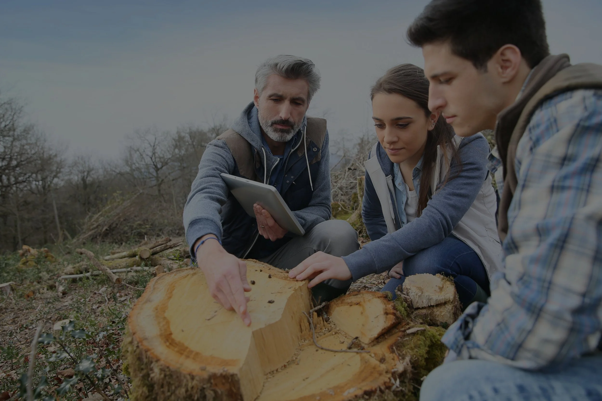 Education Home — Minnesota Forestry Association