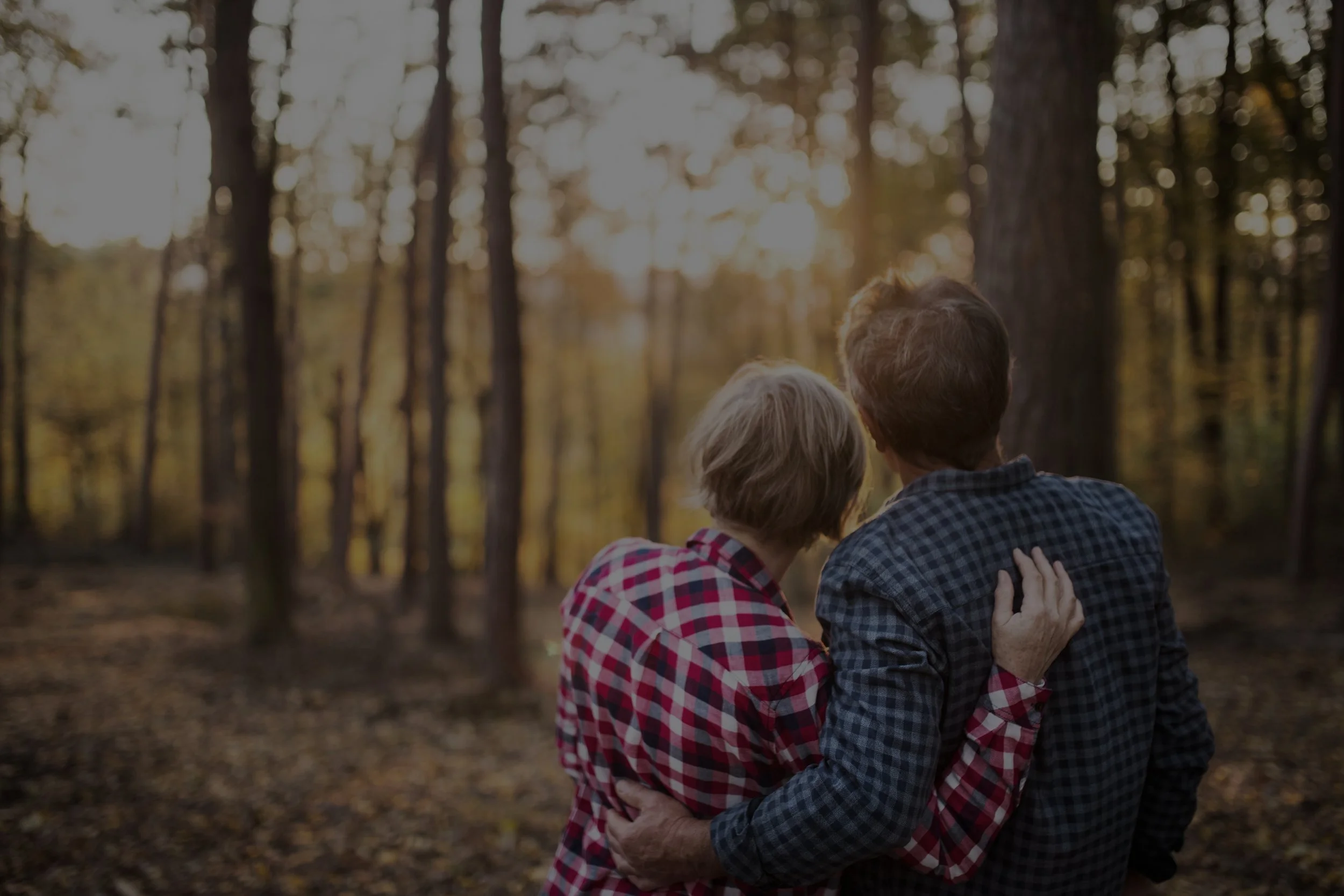 Education Home — Minnesota Forestry Association