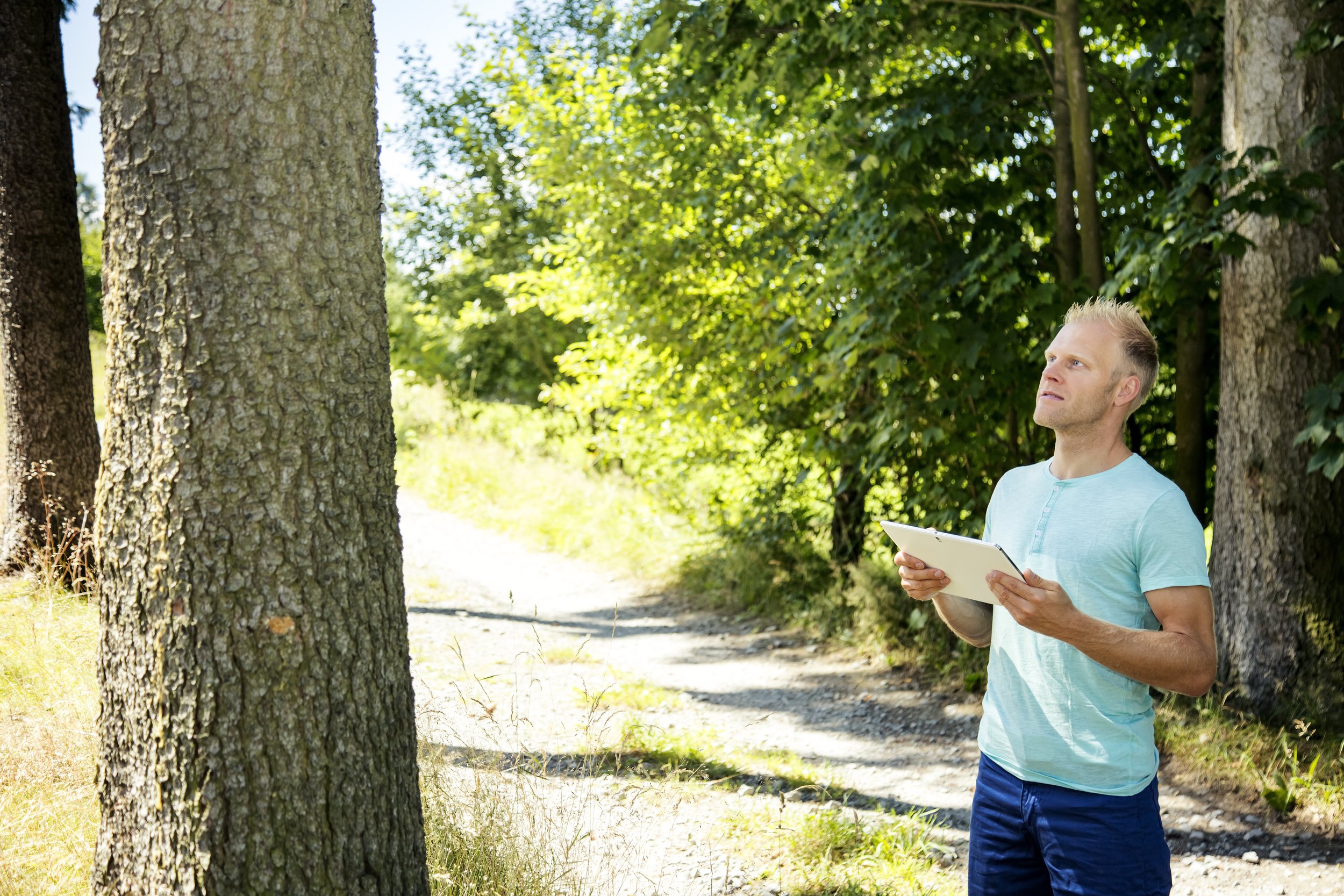 Education for Landowners — Minnesota Forestry Association