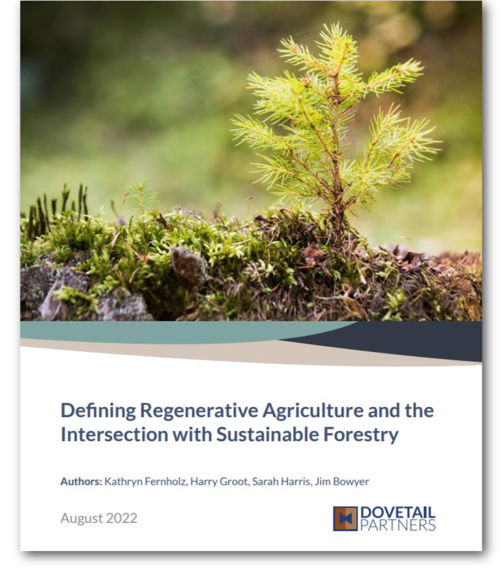 Climate Change — Minnesota Forestry Association