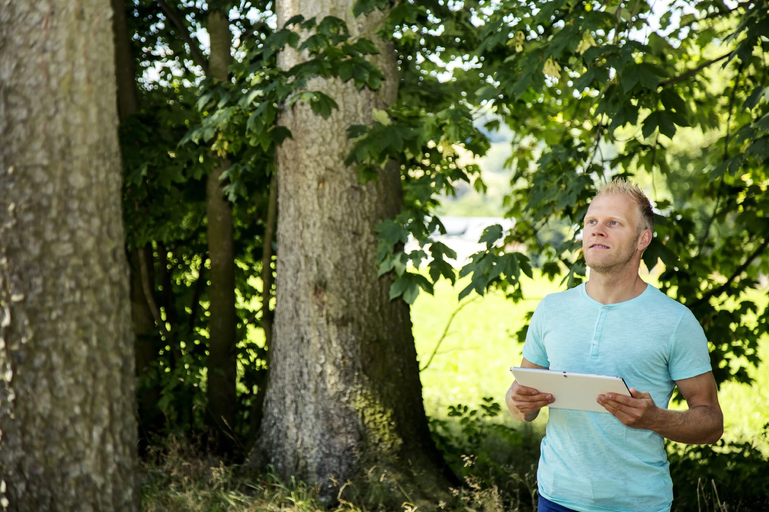 Sustainable Forest Incentive Act — Minnesota Forestry Association