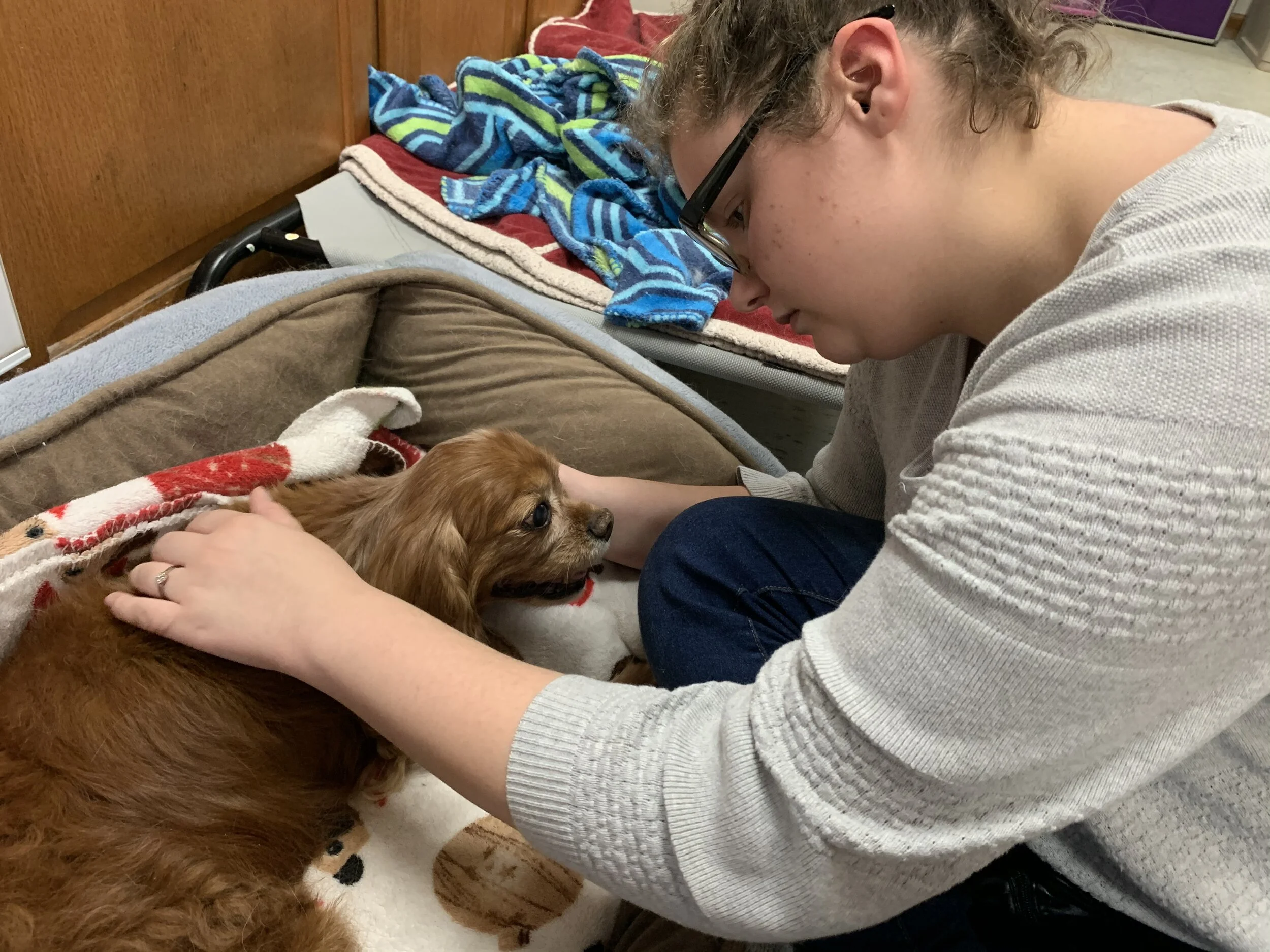 Transition Program — FOCUS Center for Autism