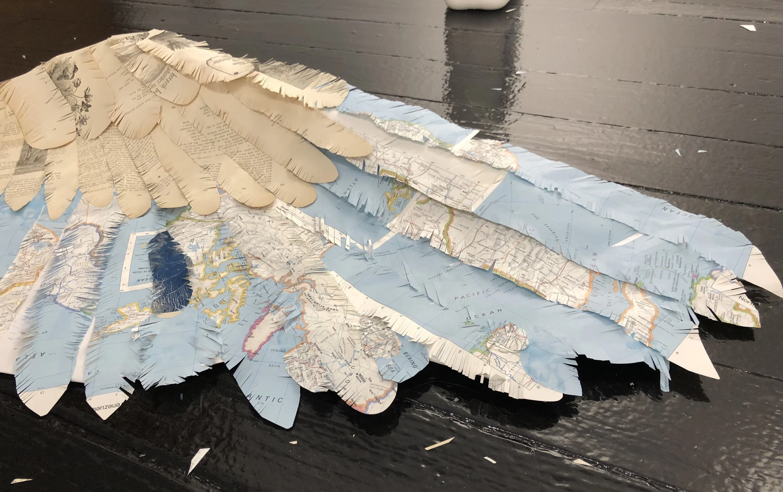 Paper Wings