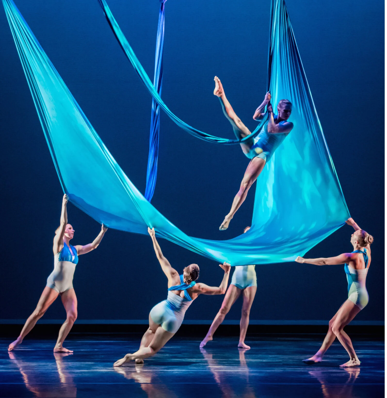 20 Years of Dance in Flight — Arts For Illinois