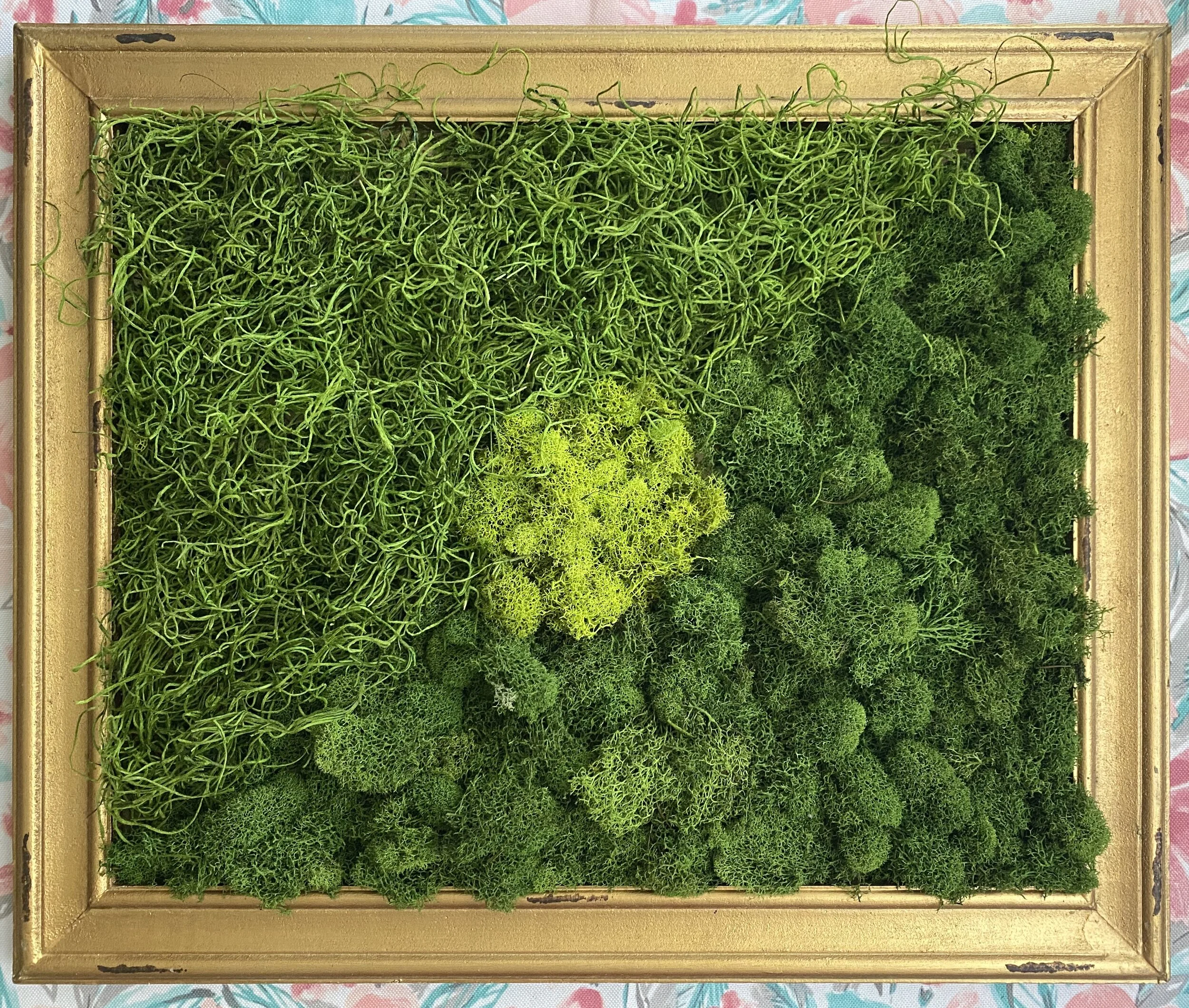 Art with Moss — Arts For Illinois