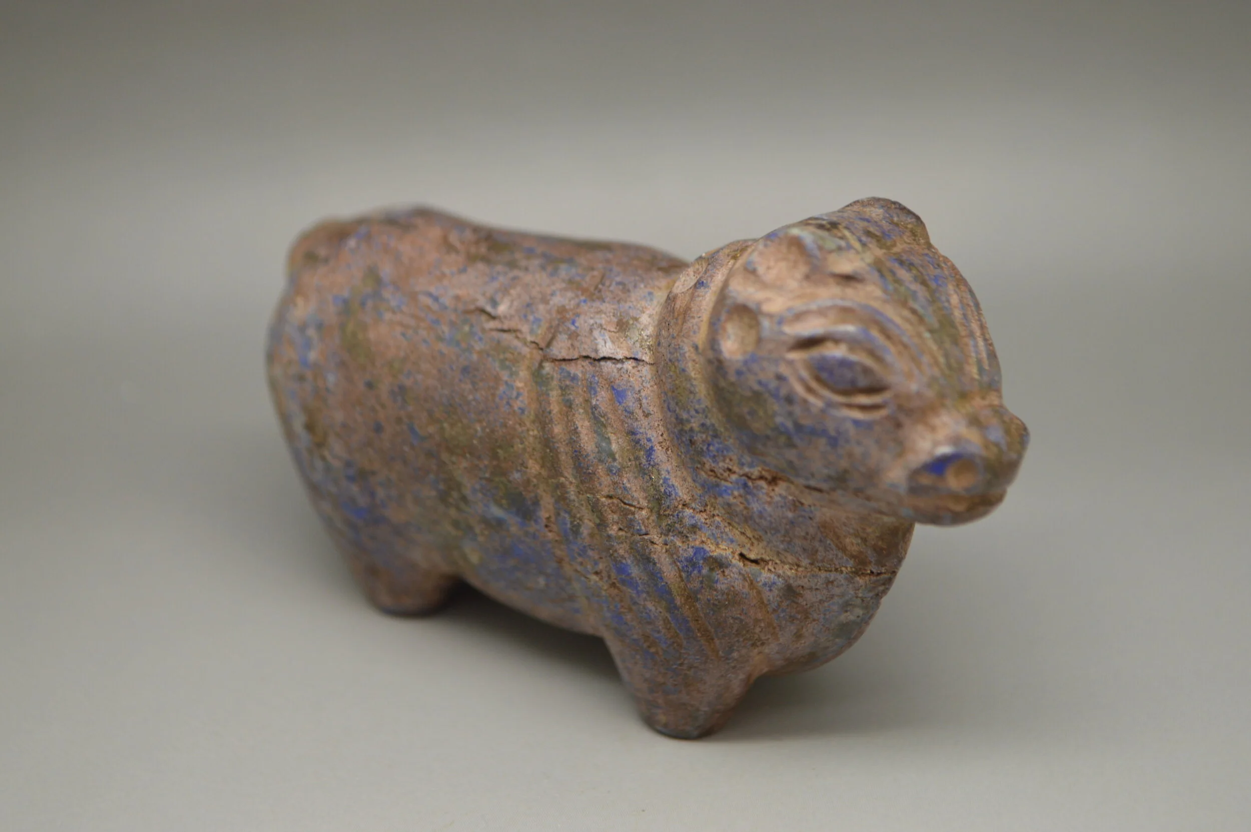 Lapis Bull or Cow — Fossil Galaxy