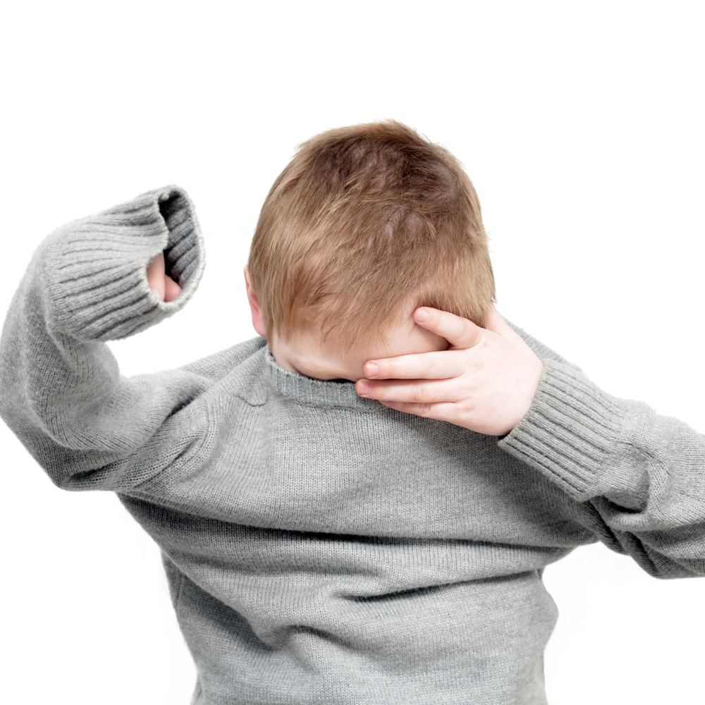 Lisa Galley - Autism Family Consultant