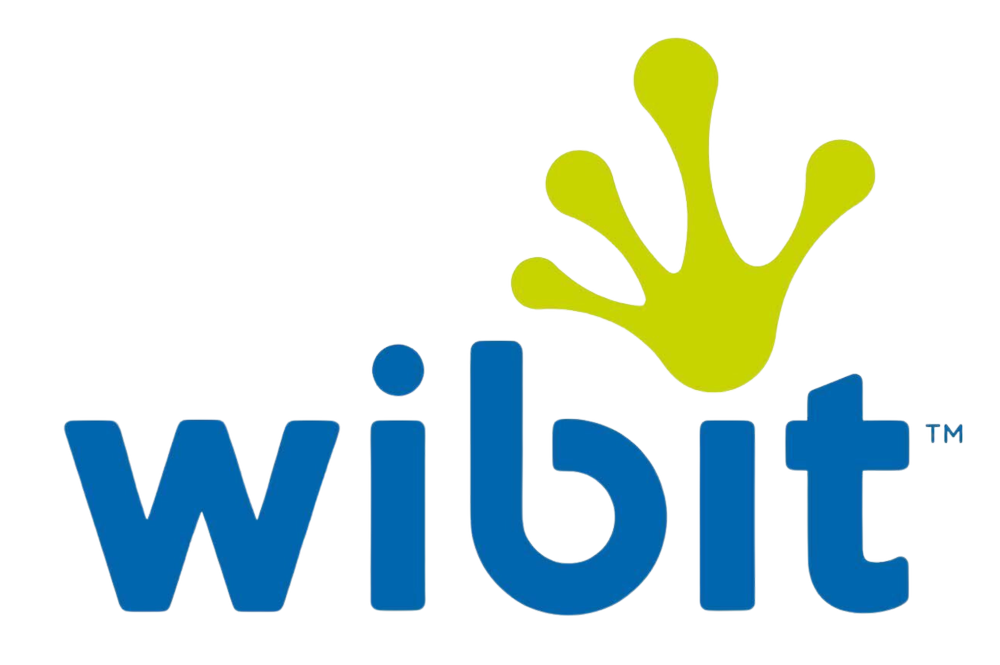 Wibit — MIZU