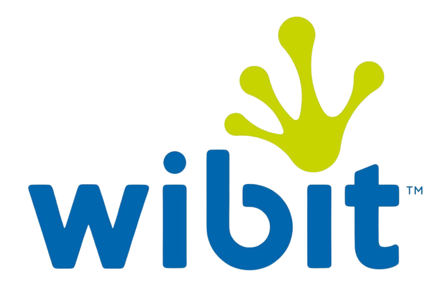 Wibit — MIZU
