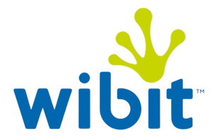 Wibit — MIZU