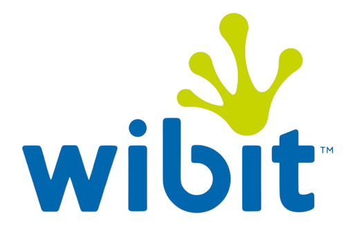 Wibit — MIZU