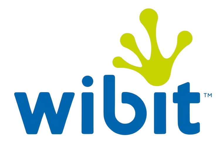 Wibit — MIZU