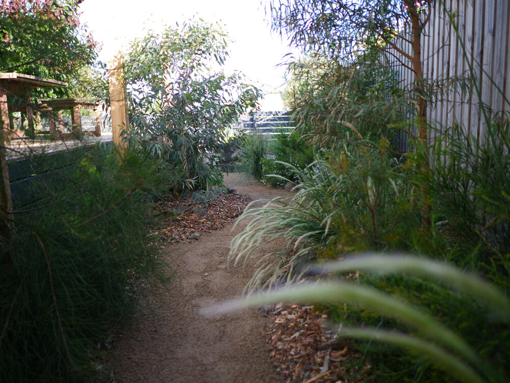 Humble Ground | Native Landscape + Garden Design