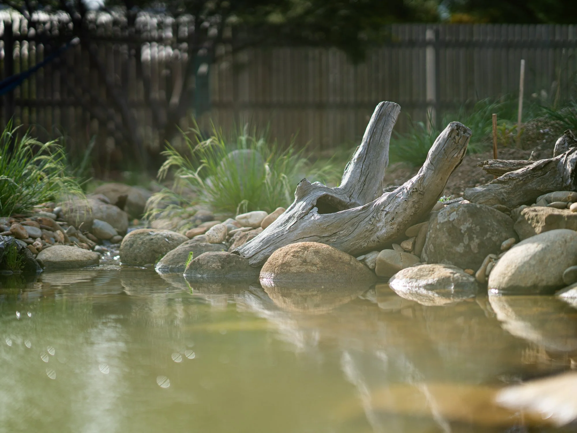 Humble Ground | Native Landscape + Garden Design